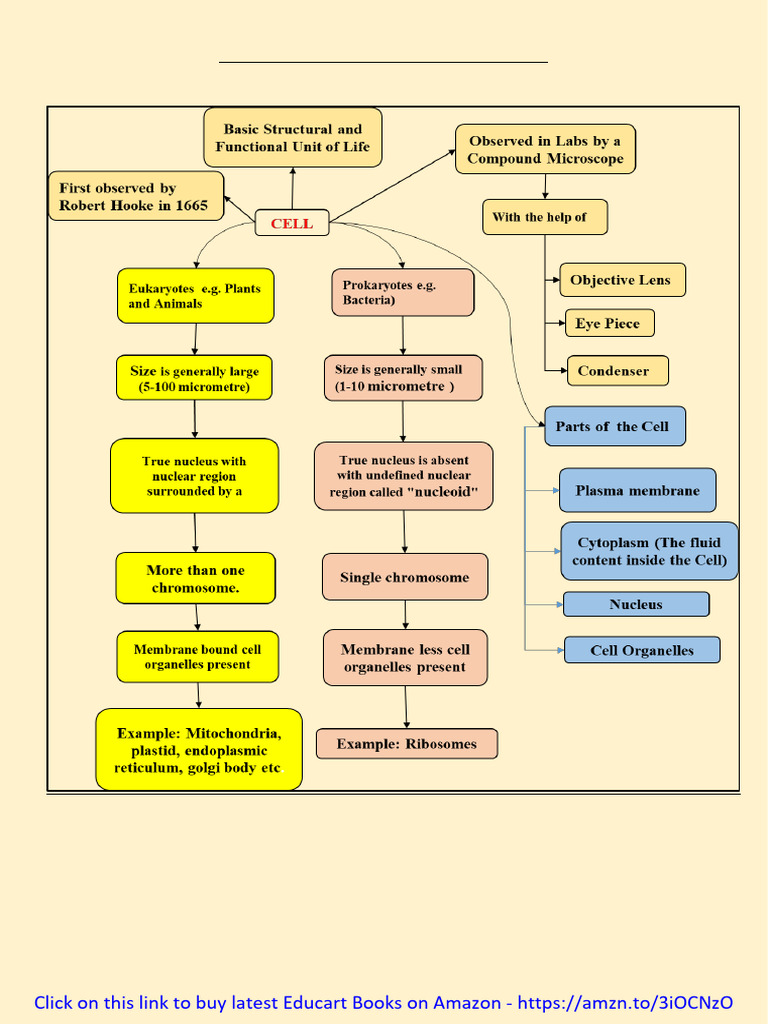 Chapter 5 - The Fundamental Unit of Life | PDF