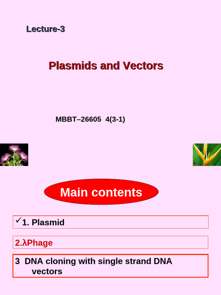 Plasmids and Vectors 2 | PDF | Plasmid | Genetic Engineering