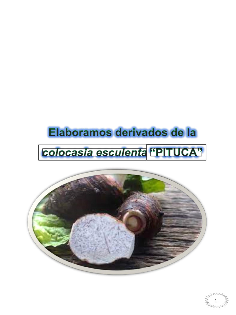 PROYECTO DERIVADOS DE LA PITUCA | PDF