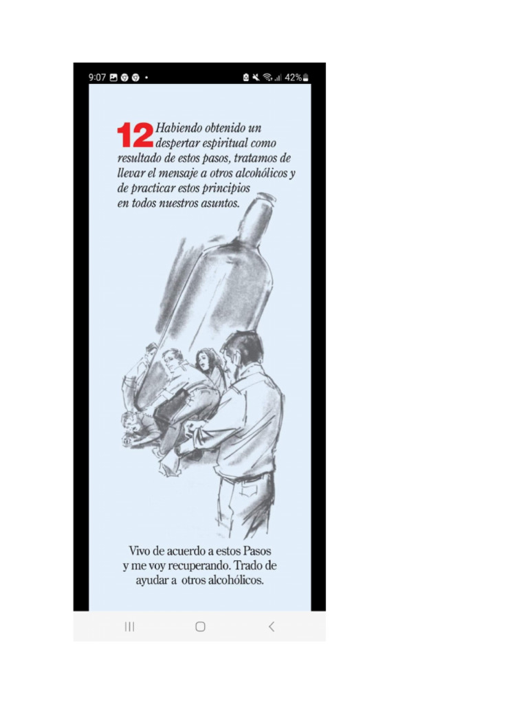 12 Pasos Ilustrados | PDF