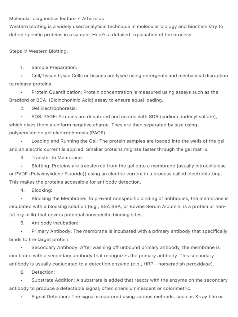 Western Blotting Process Explained | PDF | Western Blot | Gel ...