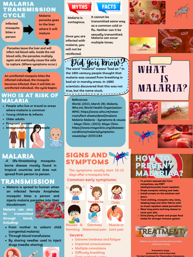 Blue Simple Malaria Brochure | PDF