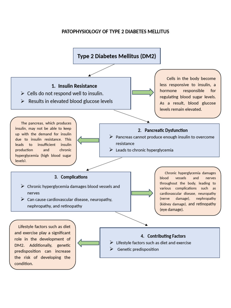 dm2 pathophysiology | PDF