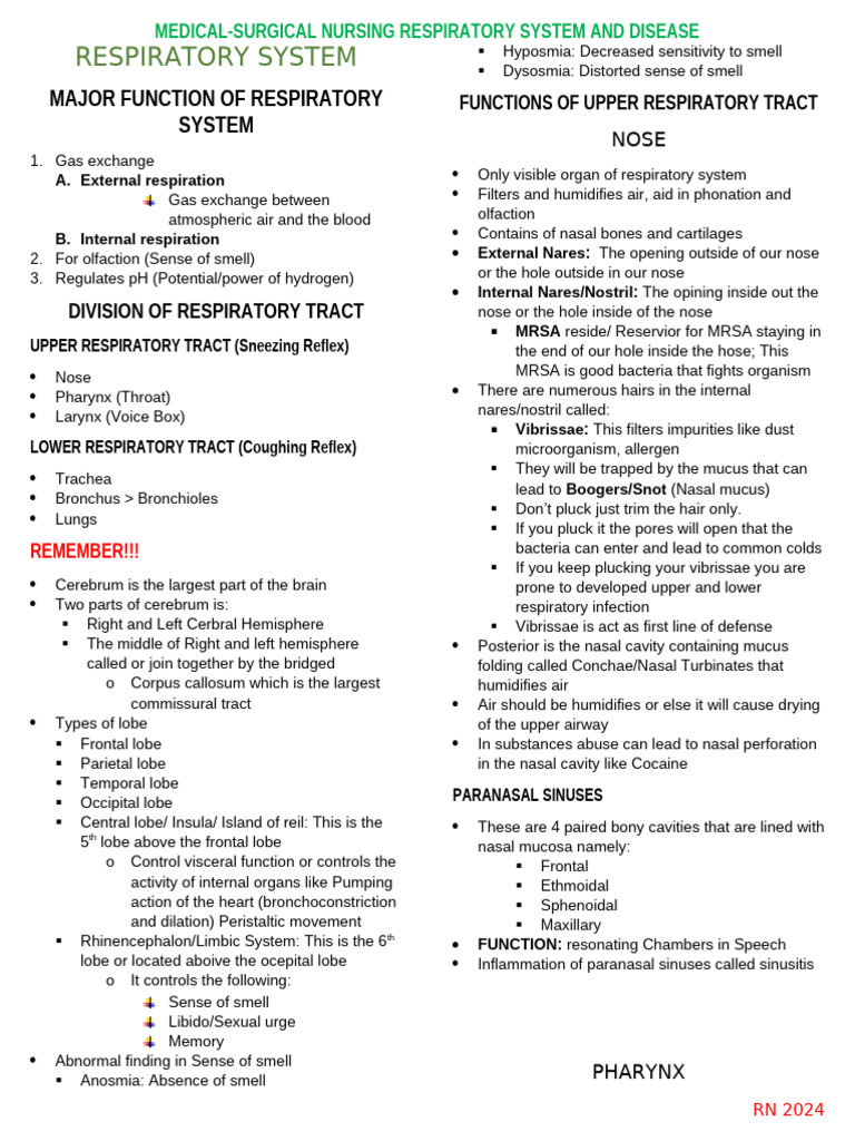 Respiratory System | PDF
