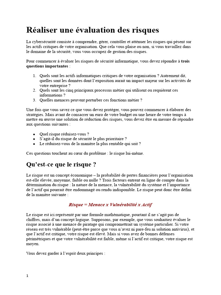 Réaliser Une Évaluation Des Risques | PDF