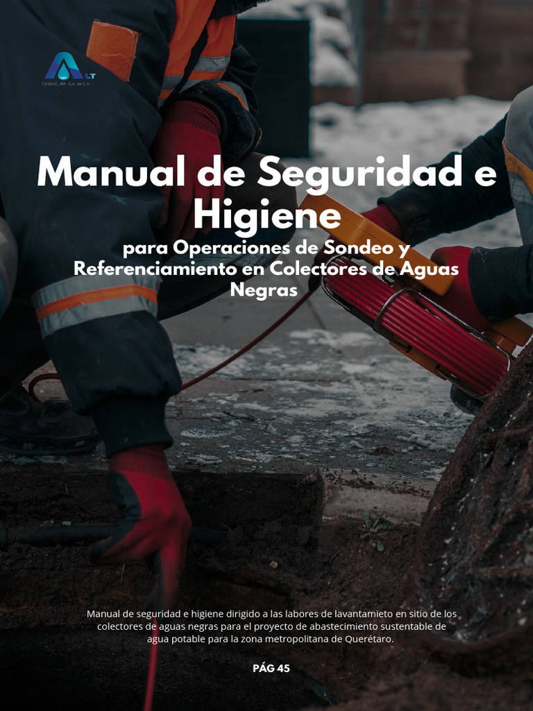 Manual de Seguridad e Higiene | PDF