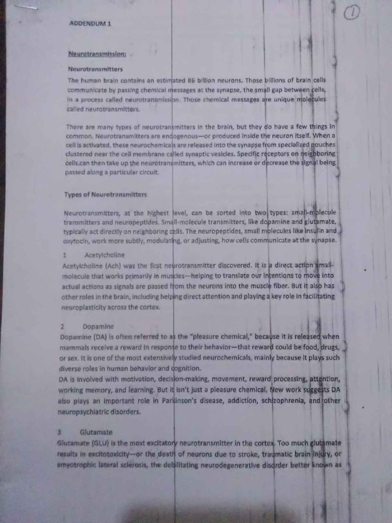 Neurotransmitters (PCL 255) | PDF