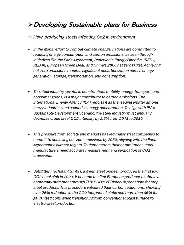 Developing Sustainable Plans For Business | PDF