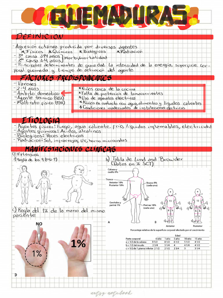 Quemaduras Hito 4_231113_172338 | PDF