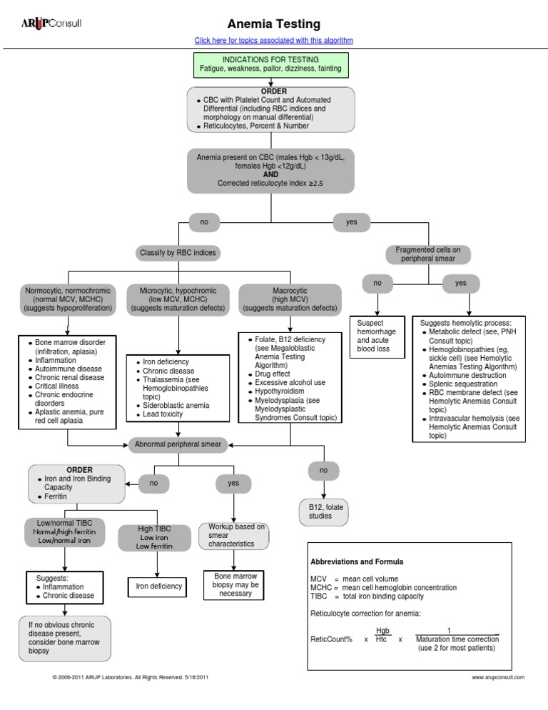 Anemia Algoritma | PDF