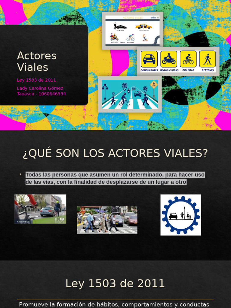 Actores Viales | PDF