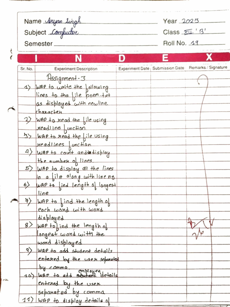 Assigment 4 Binary Files | PDF