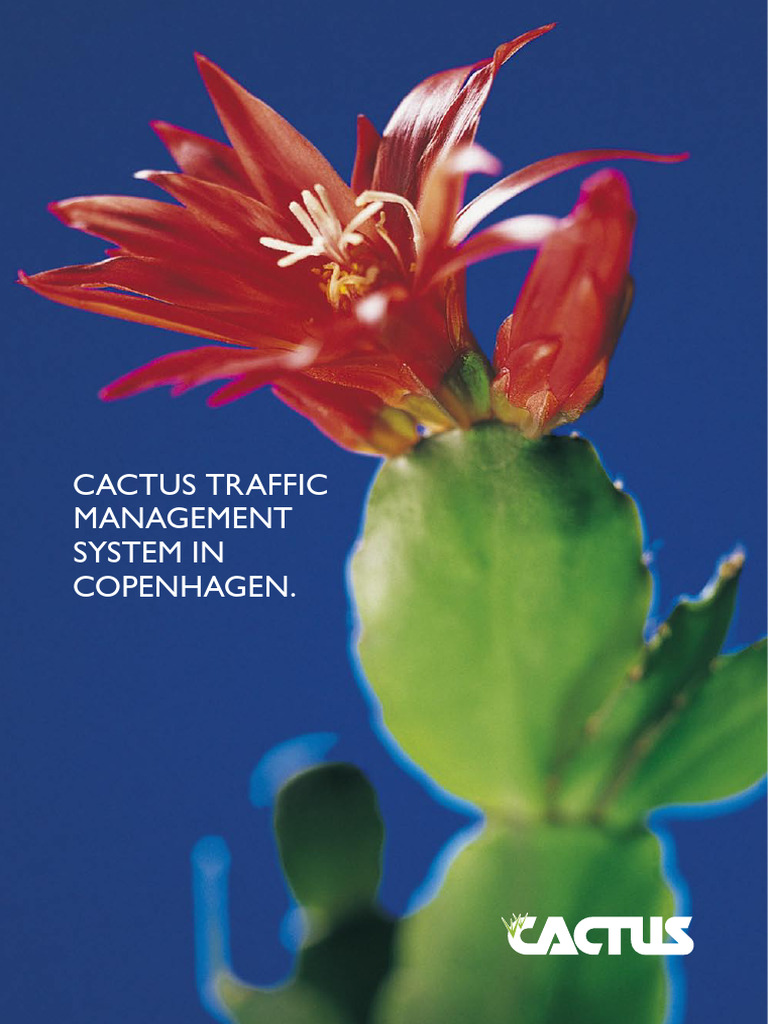 Cactus Train Management System | PDF