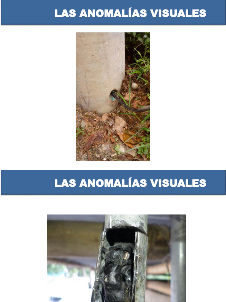 60 Anomalías Visuales | PDF