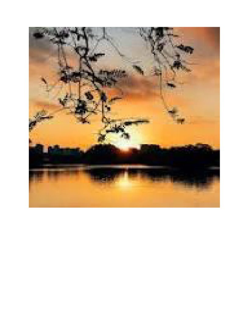 Doc 3 Doc tres | PDF