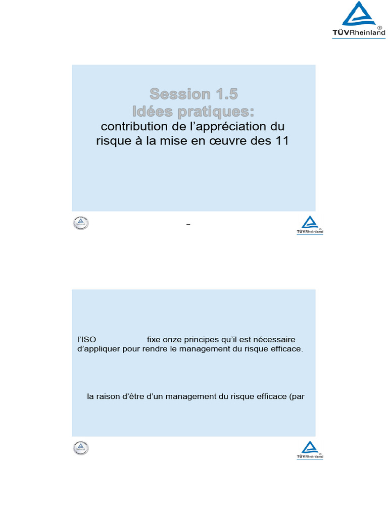 Session 1.5 Idees Pratiques - Mise en Oeuvre Des Principes | PDF