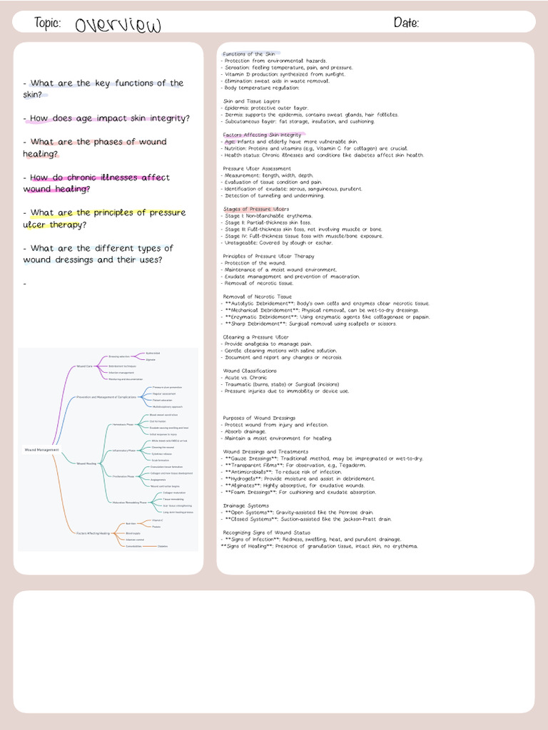 12 Tissue Outline | PDF