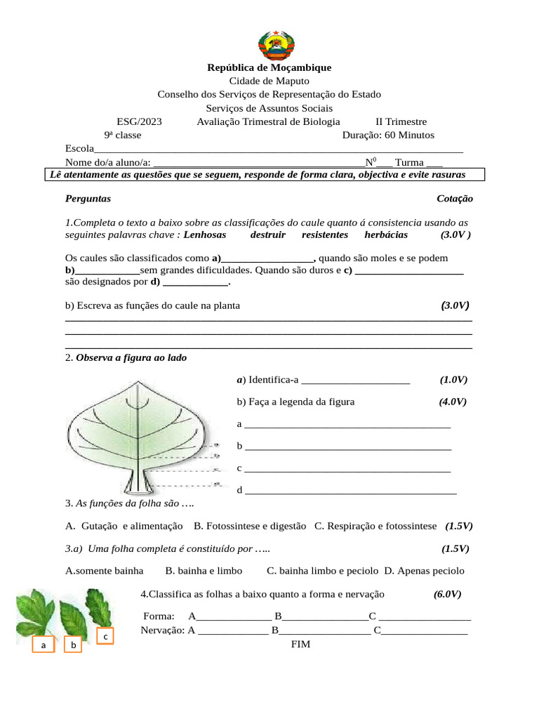 AP Prov 9 Classe V.B | PDF