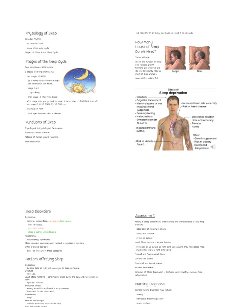 Week 13 Lecture Physiology of Sleep Outline | PDF
