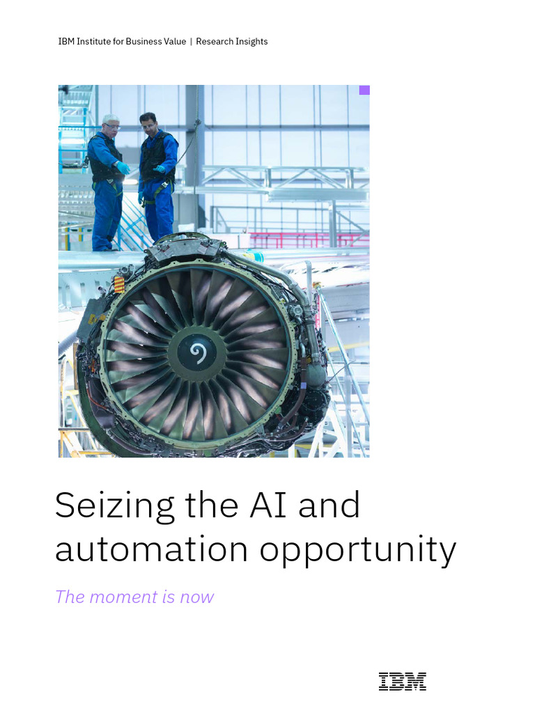 IBV - Seizing The AI and Automation Opportunity | PDF