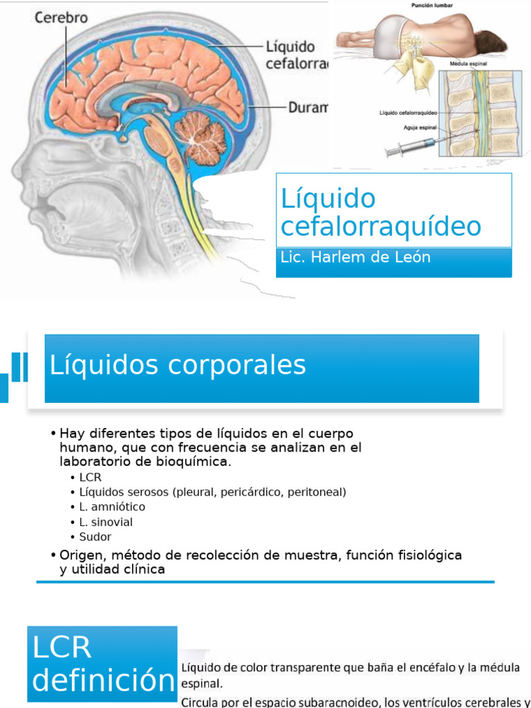 L Quido Cefalorraqu Deo | PDF