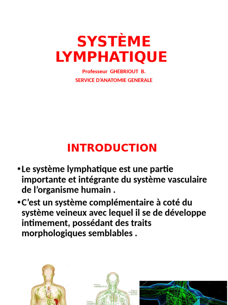 7 - Système Lymphatique New | PDF