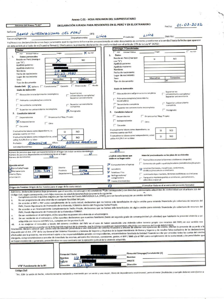 c01 Modelo Llenado | PDF