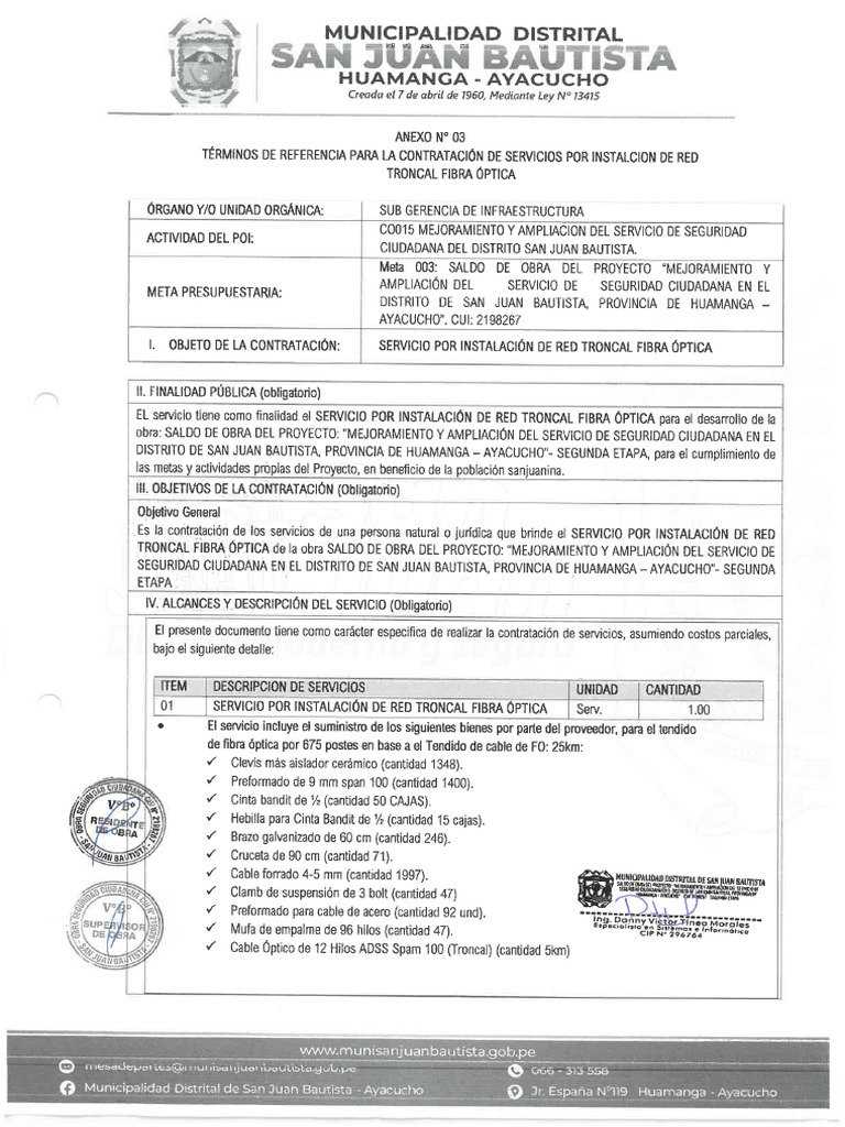 TDR - Servicio Por Instalacion de Red Troncal Fibra Optica | PDF