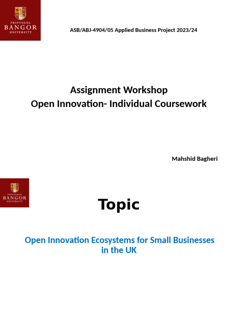 ABP Open Innovation - Assignment Workshop - 202324 - Tagged | PDF