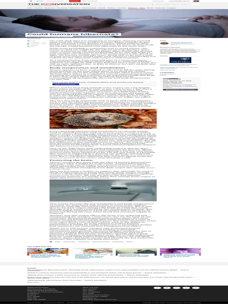 Could Humans Hibernate? | PDF