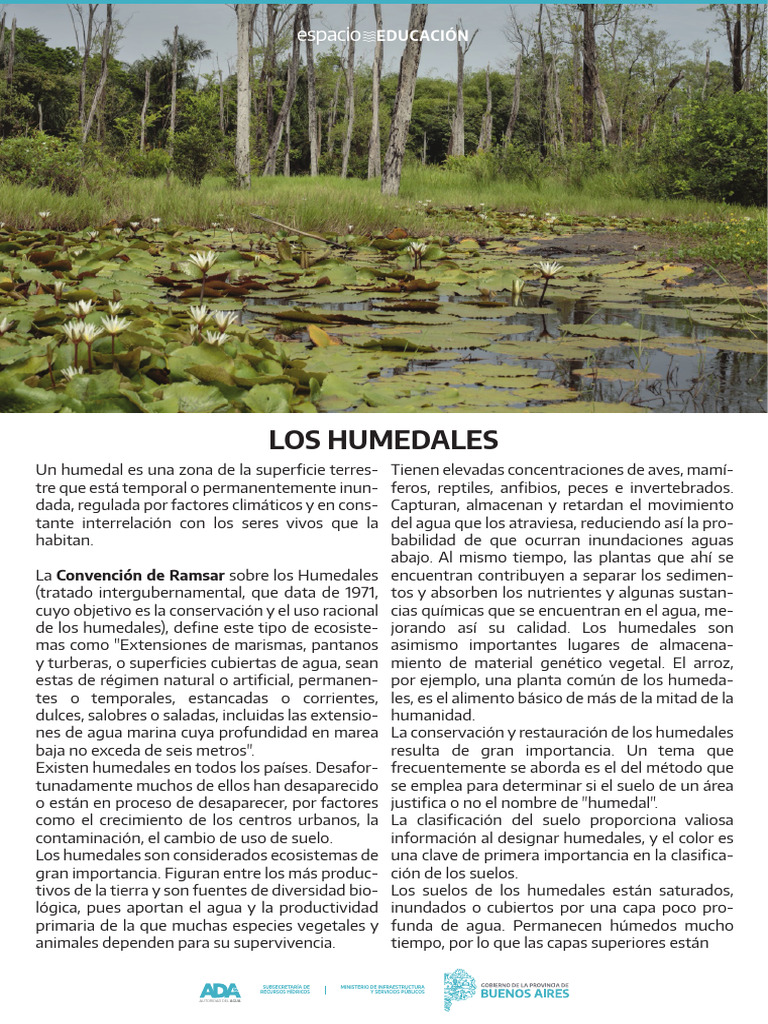 HUMEDALES | PDF