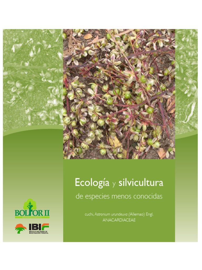 Ecología y usos del árbol de cuchi | PDF | Bolivia | Semilla