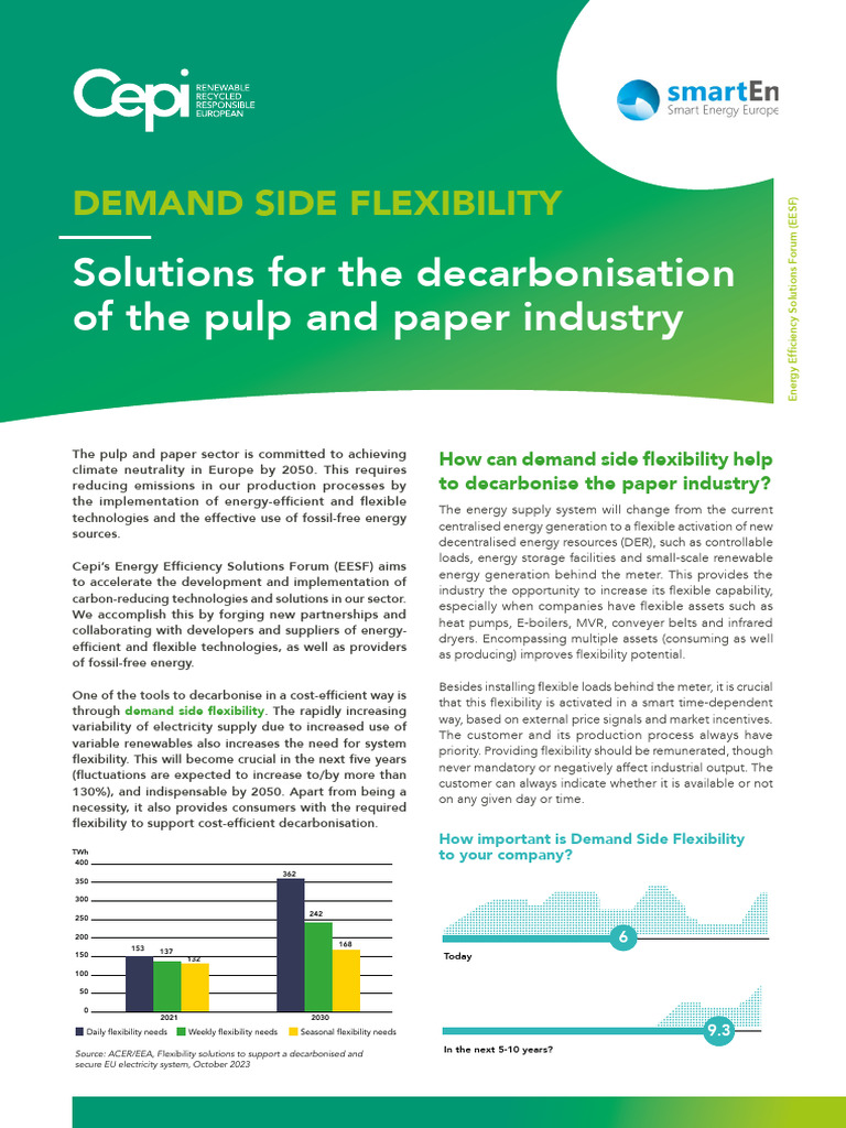 EESF Demand Side Flexibility Factsheet | PDF