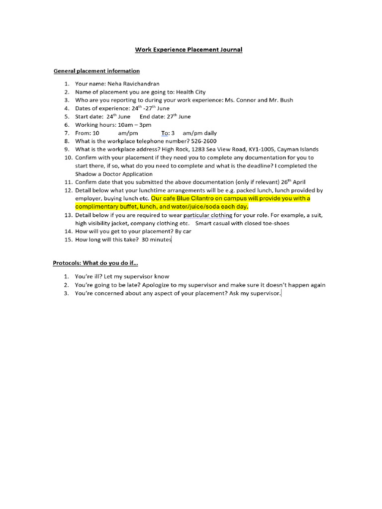 Work Experience Journal | PDF