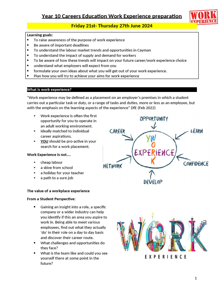 Year 10 Careers Education Work Experience preparation-Neha | PDF