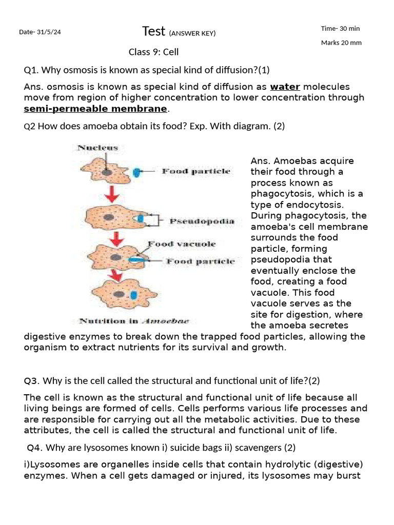 Cell Class 9 Test | PDF