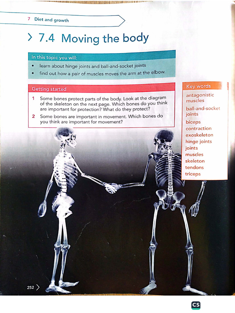 7.4 Moving The Body LB Pages 252-258 | PDF