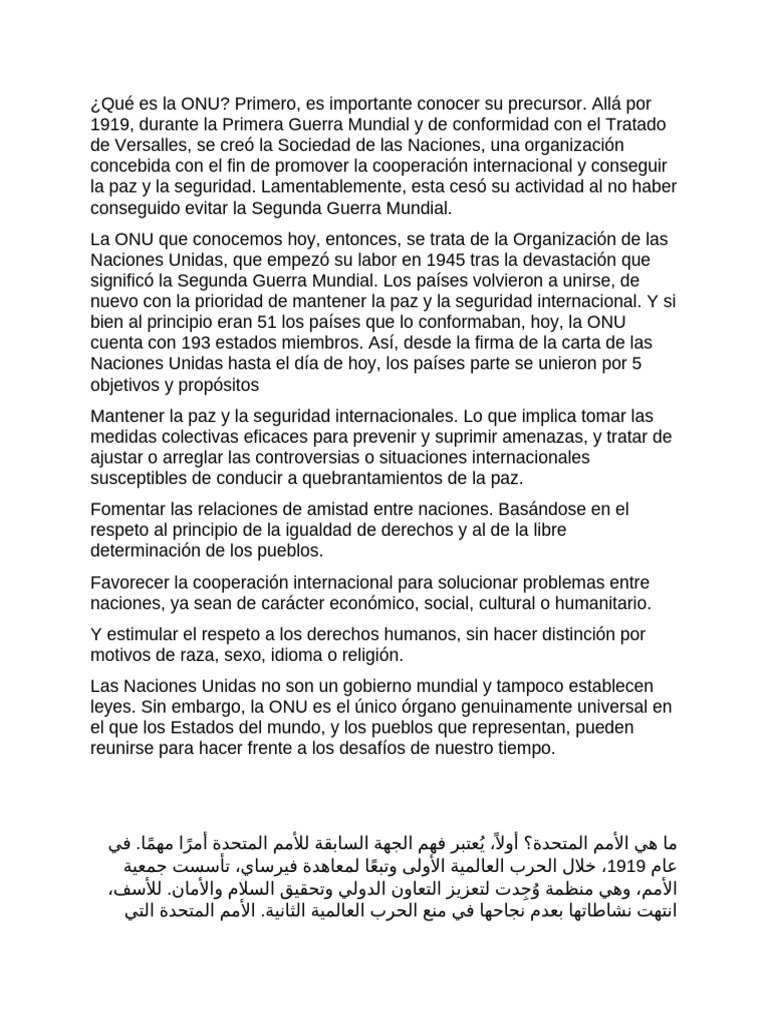 La ONU | PDF