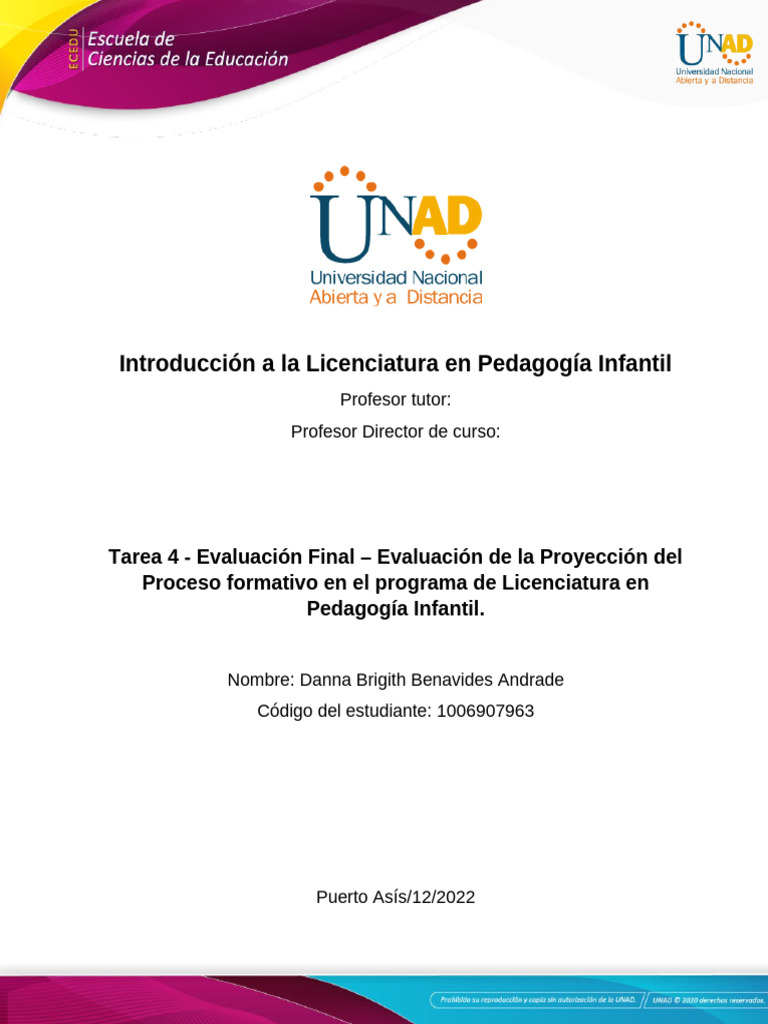 Introducción - Formato 4 para La Elaborar La Evaluación de La Proyección Del Proceso Formativo | PDF