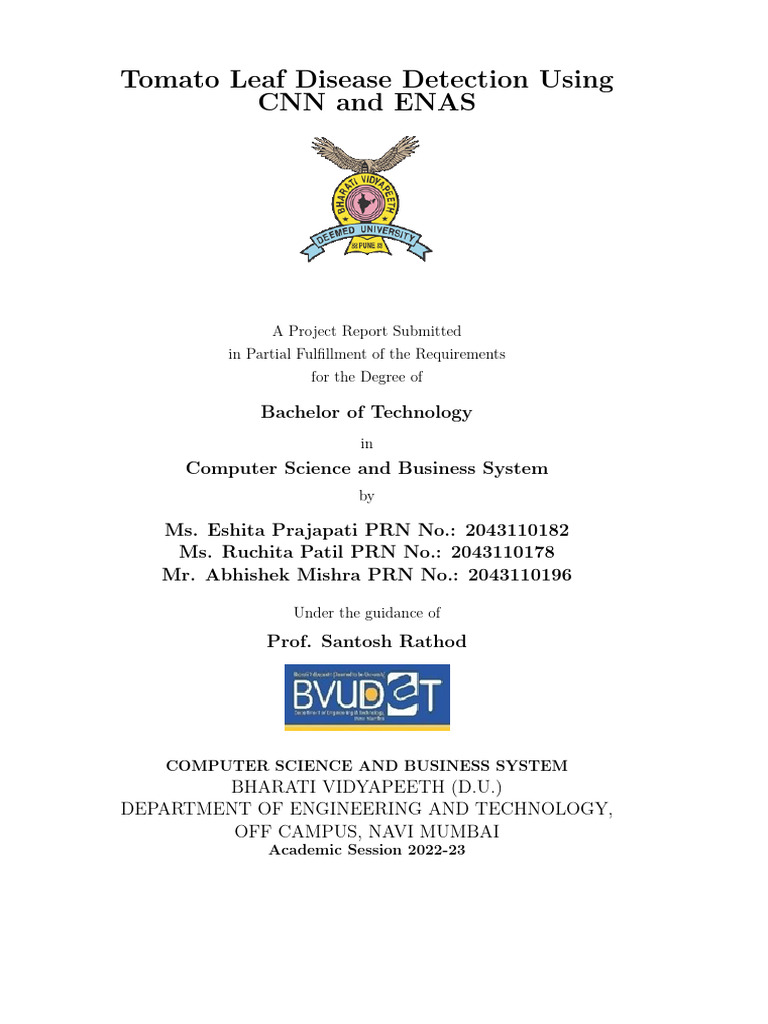 Final Year Project Report | PDF