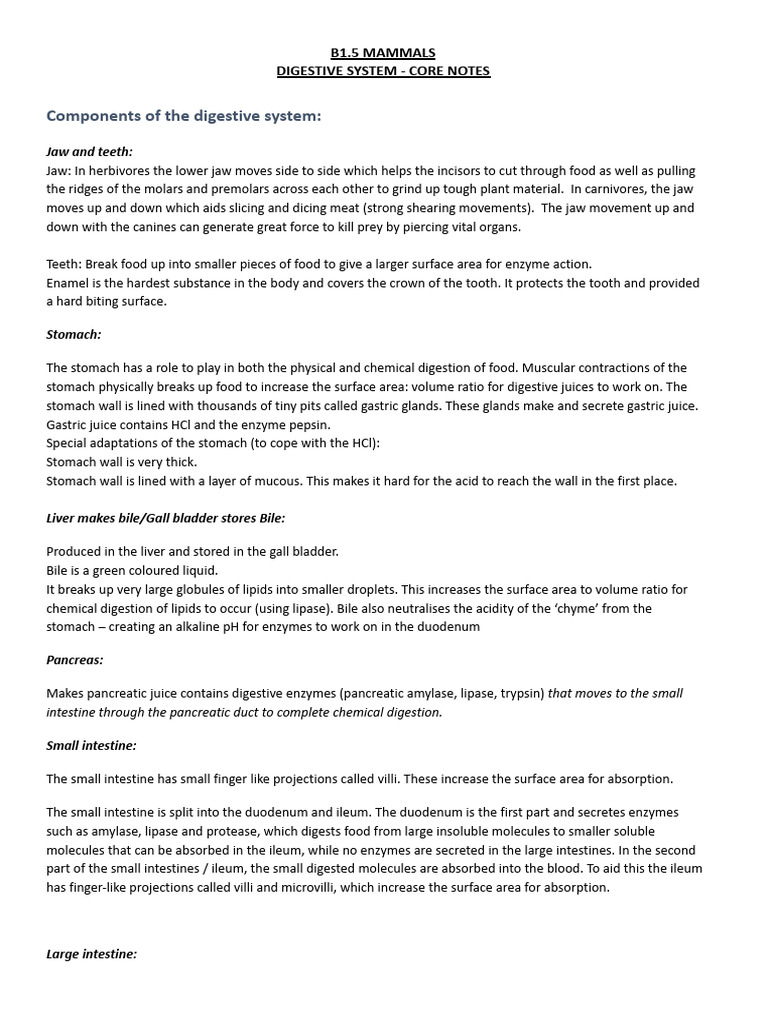 Digestive Sytem - Core Notes | PDF