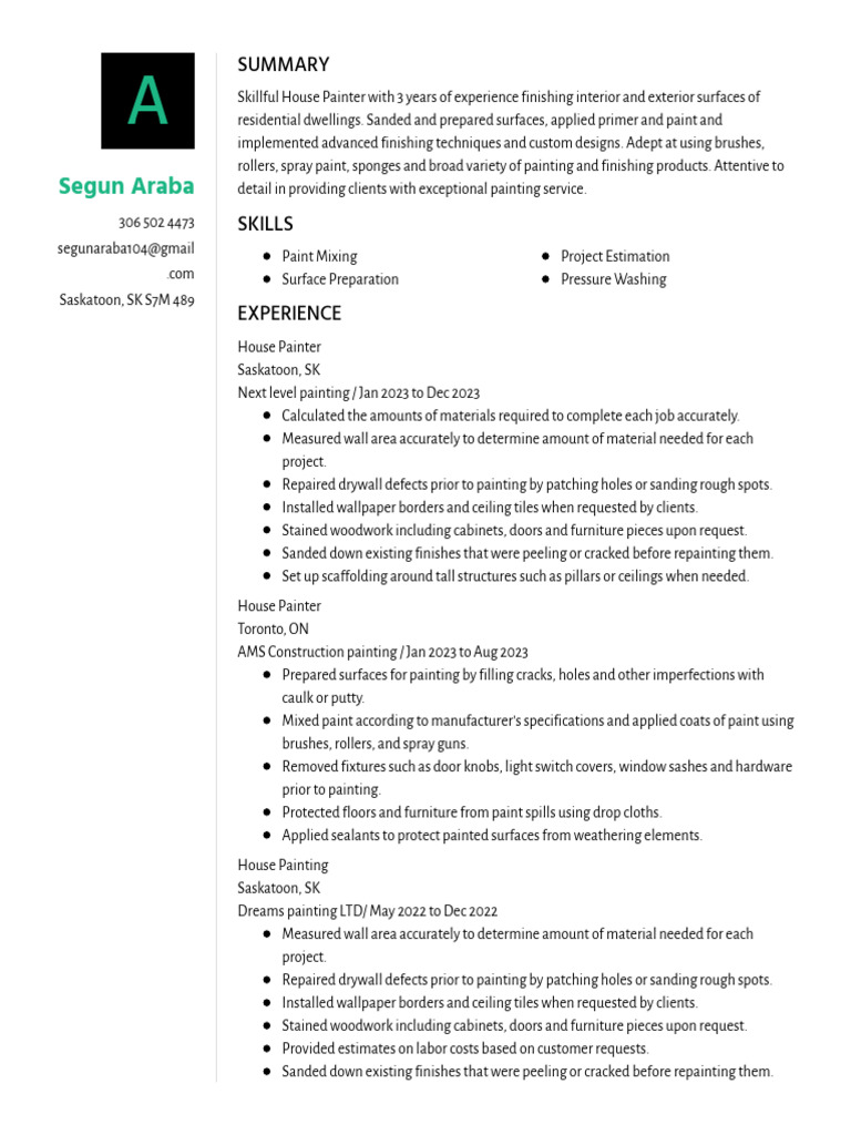 Segun - Araba - Resume - 3 | PDF