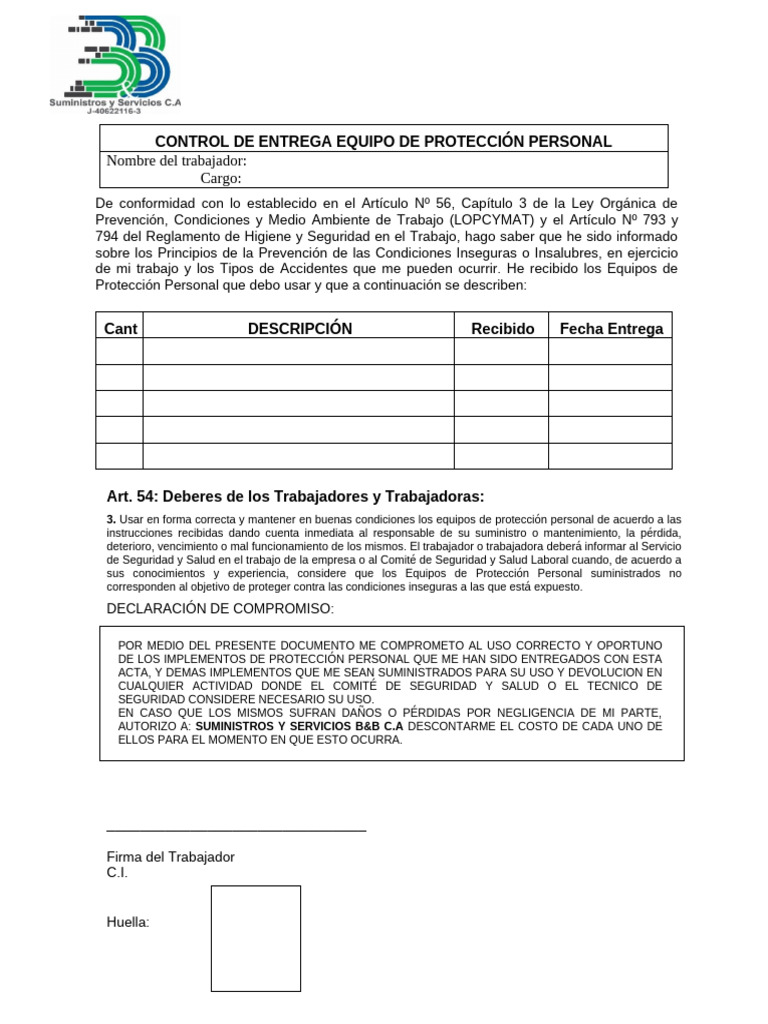 EPP Formato de Entrega | PDF