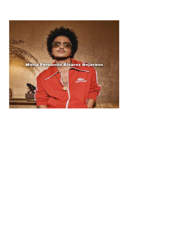 Brunz | PDF