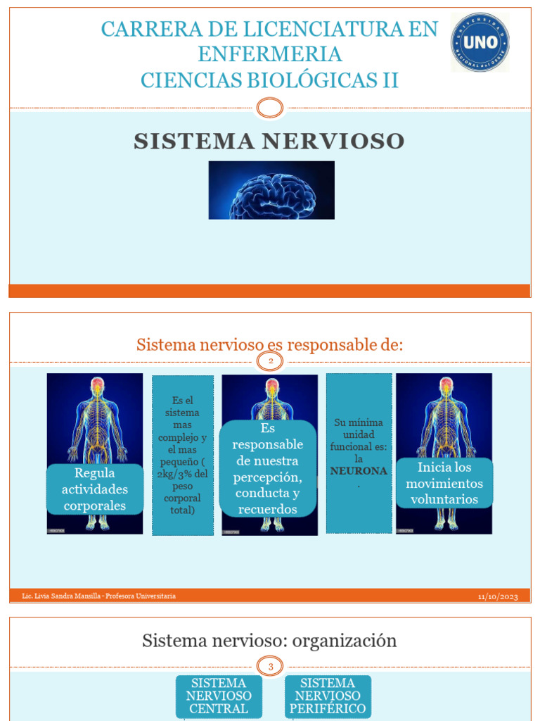 S Nervioso Power | PDF