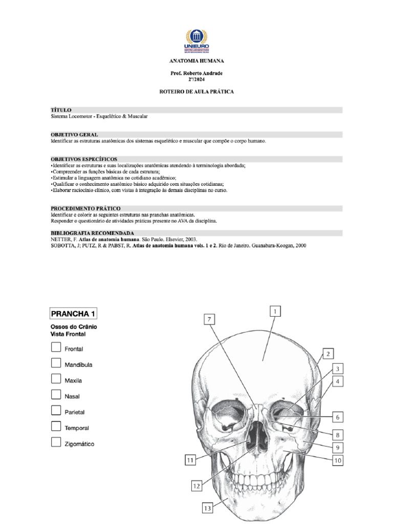 04-Locomotor%20-%20Roteiro%20de%20Atividade%20Pr%C3%A1tica | PDF