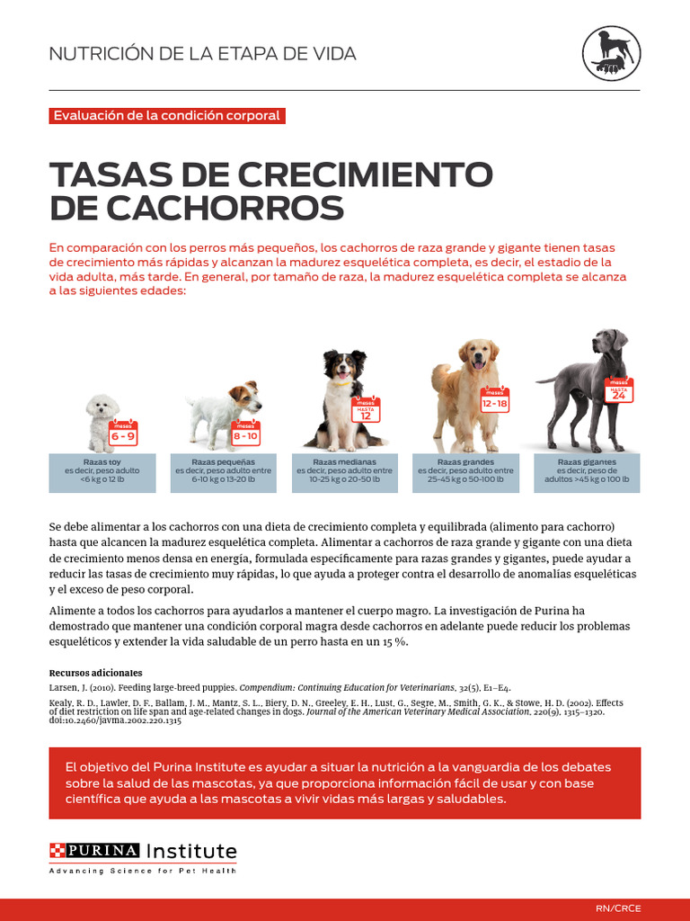 Tasas de Crecimiento de Cachorros 0 | PDF