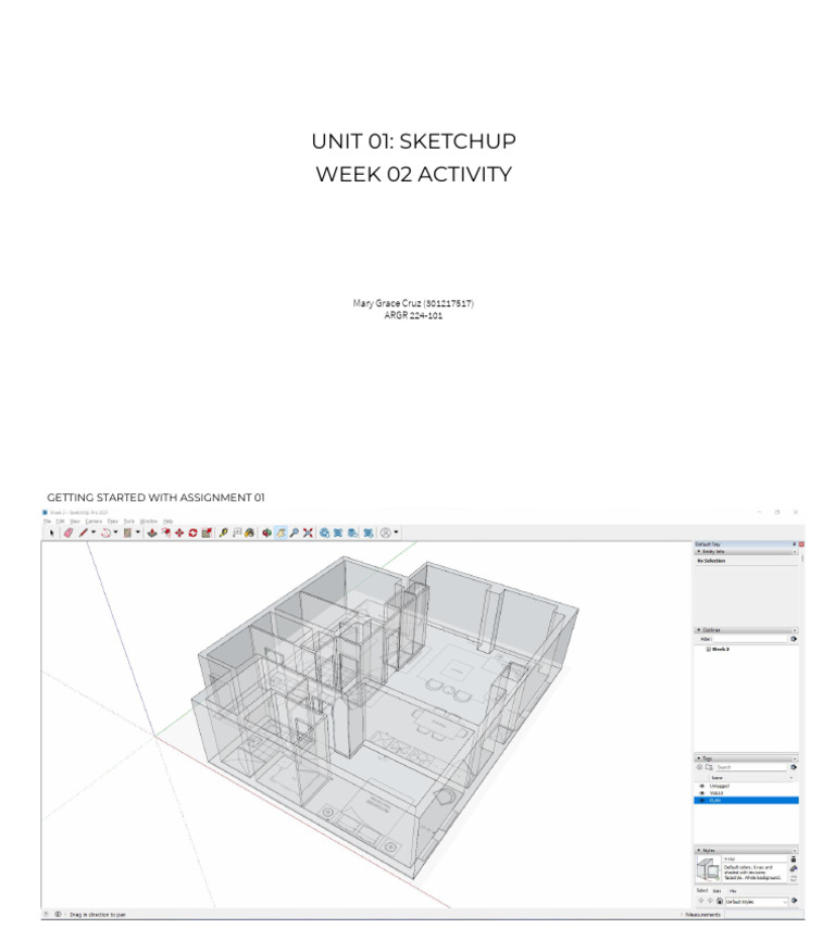Week 2 Activity | PDF
