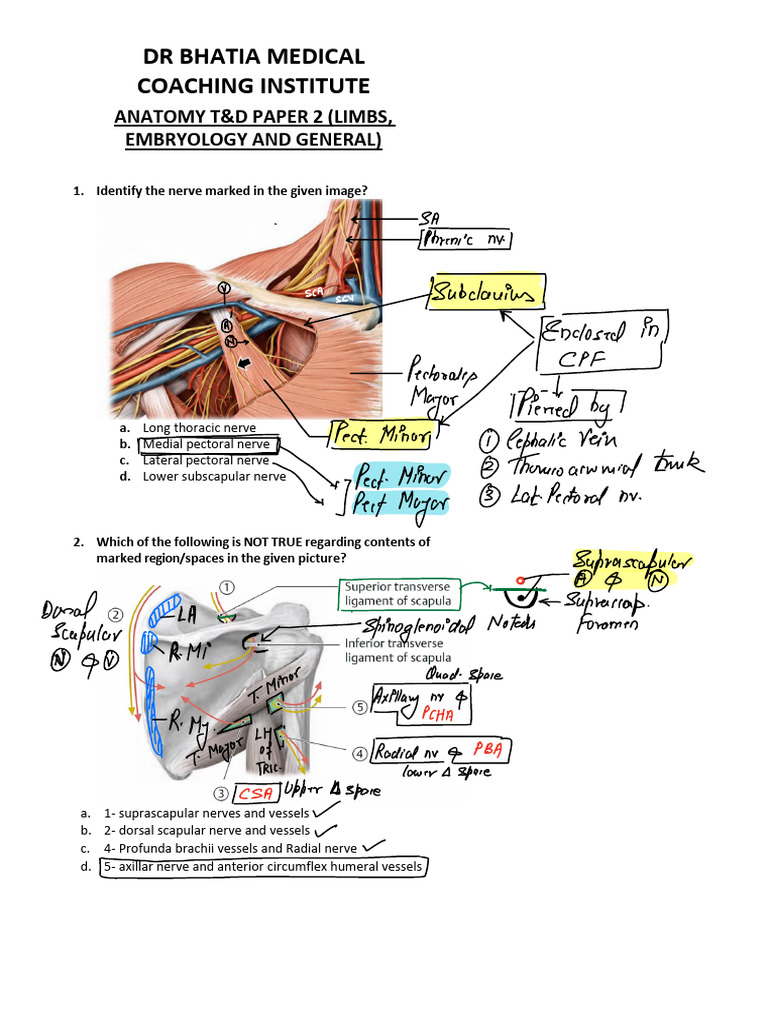 tad 2 notability Copy | PDF
