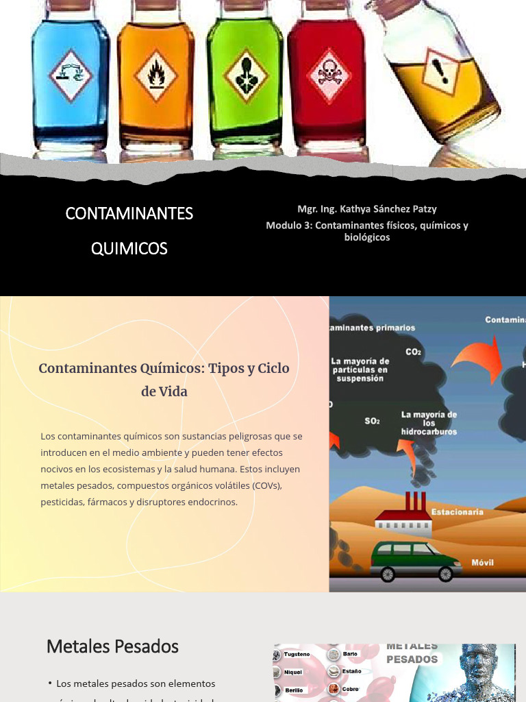Unidad 2 Contaminantes Quimicos | PDF